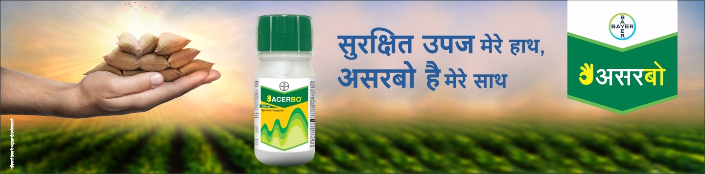 Acerbo Fungicide for Rice, Chilli, & Onion Crops