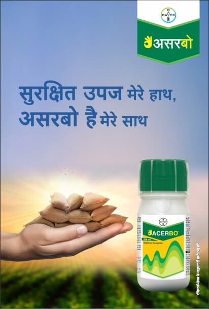 Acerbo Fungicide for Rice, Chilli, & Onion Crops