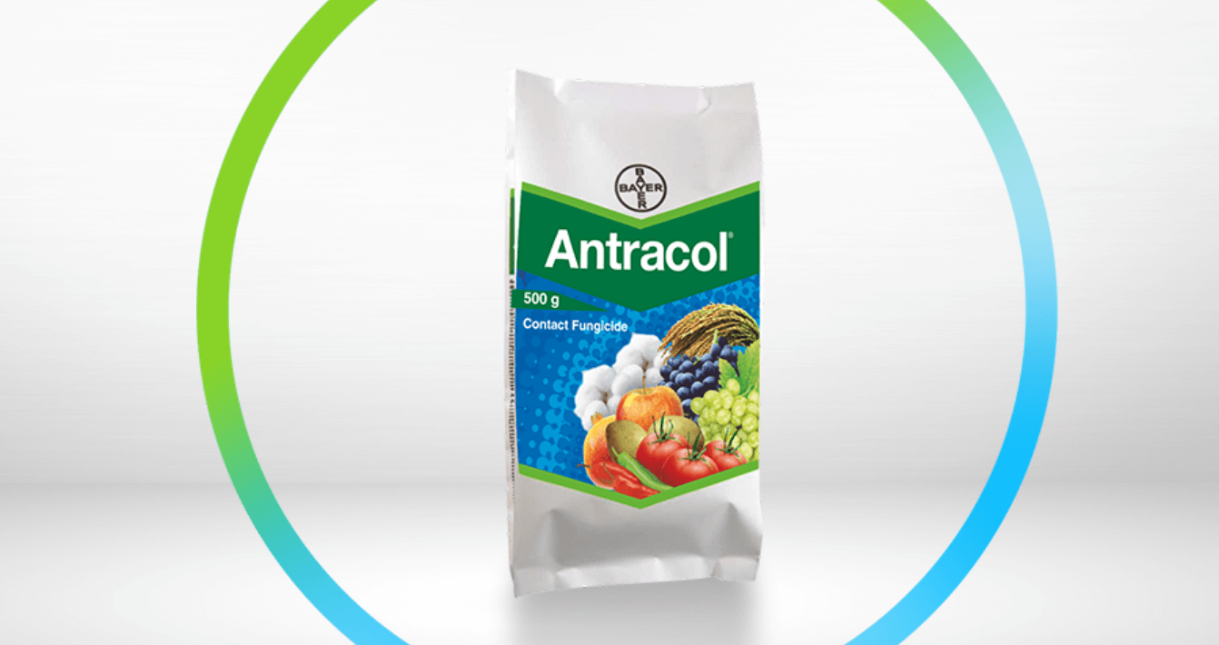 Antracol Fungicide for Brown Leaf Spot of Rice and Apple Scab