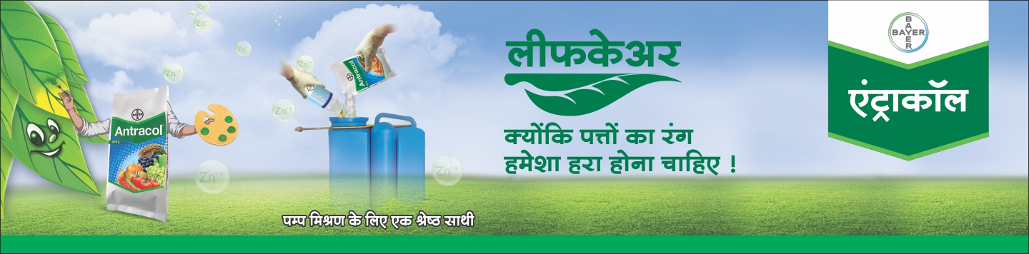 Antracol Fungicide for Brown Leaf Spot of Rice and Apple Scab