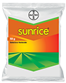 Sunrice Herbicide | Transplanted Rice & Sugarcane Crop Diseases