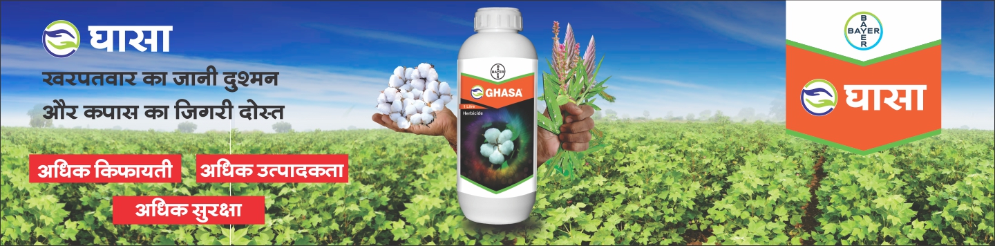 Bayer Ghasa | Best Herbicide for Cotton Crops