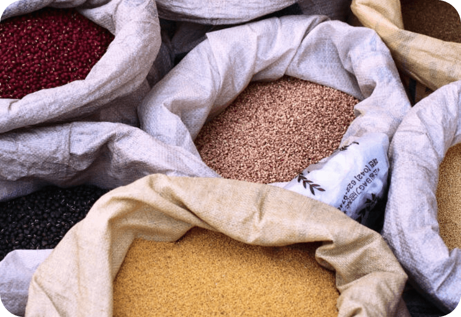 High-Quality Seeds for Improving Yields | Bayer India