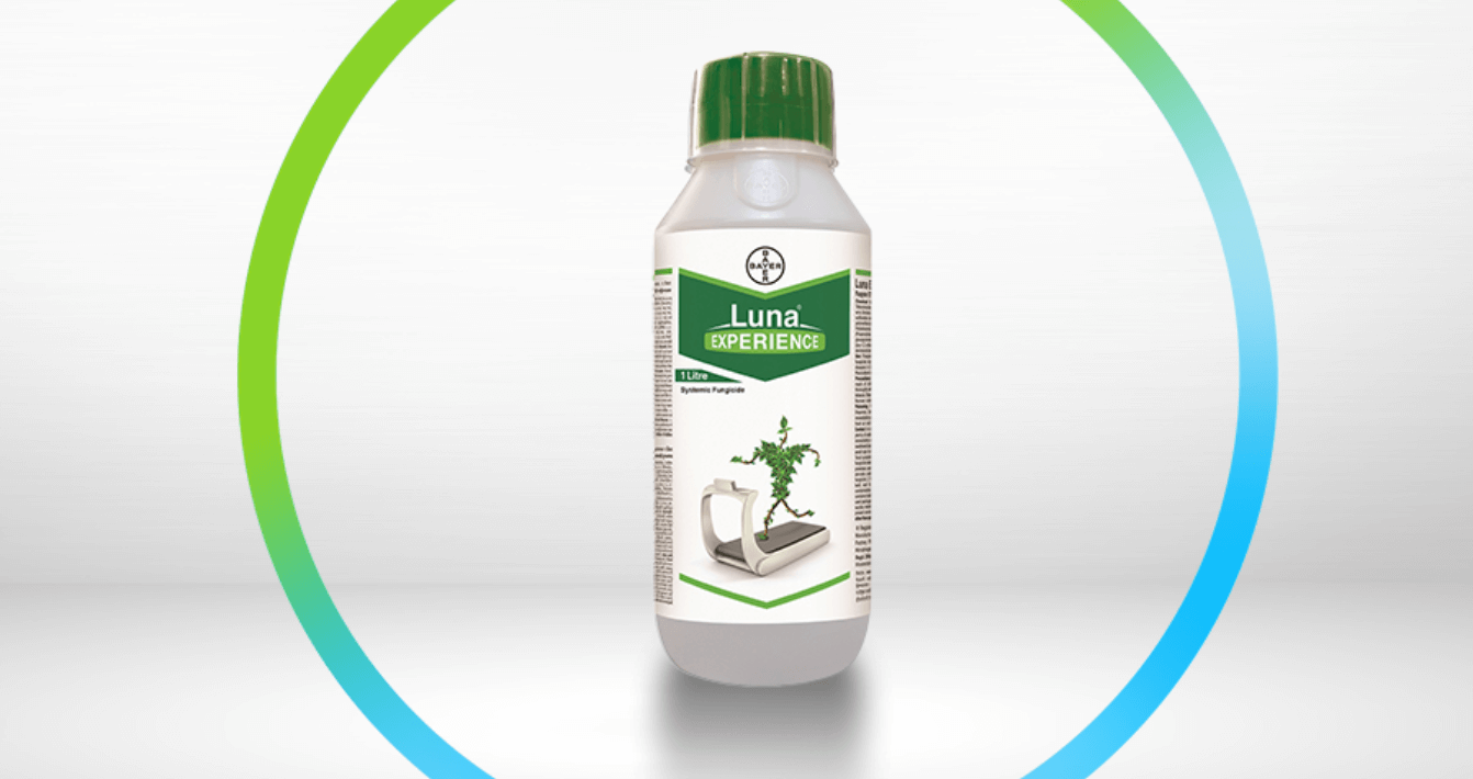 Luna Experience | Broad-Spectrum Fungicide for Crop Diseases