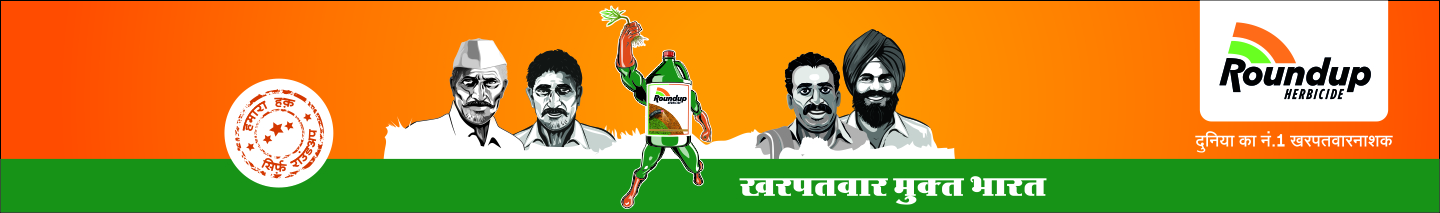 Roundup Herbicide for Tea, Rice & Non-Cropped Area Diseases