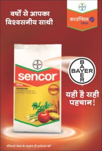 Sencor Herbicide | Strong Weed Control Solution for Multiple Crops