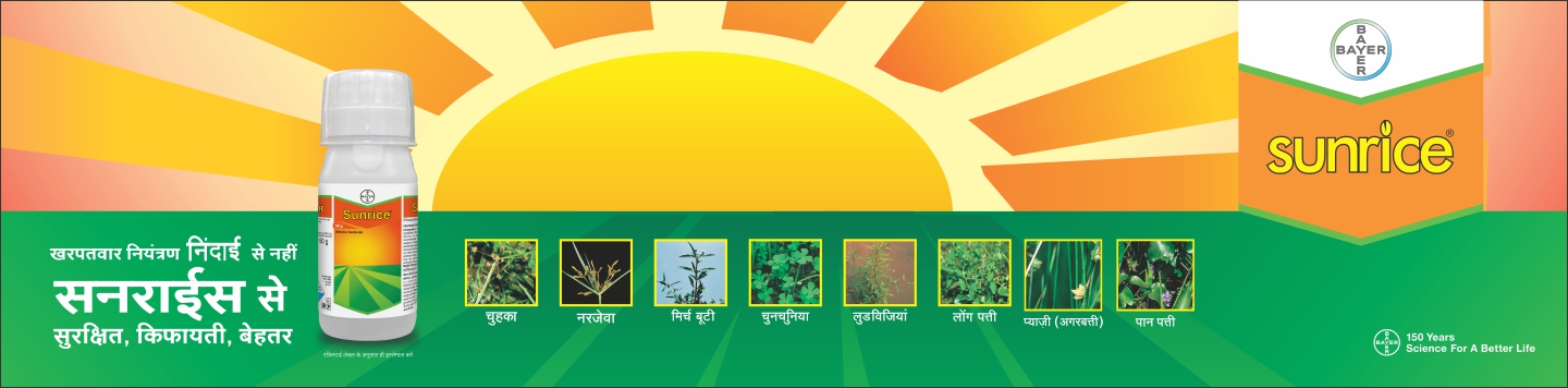 Sunrice Herbicide | Transplanted Rice & Sugarcane Crop Diseases
