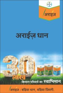 Bayer Arize Hybrid Rice Seeds | High-Yield & Sustainable Farming